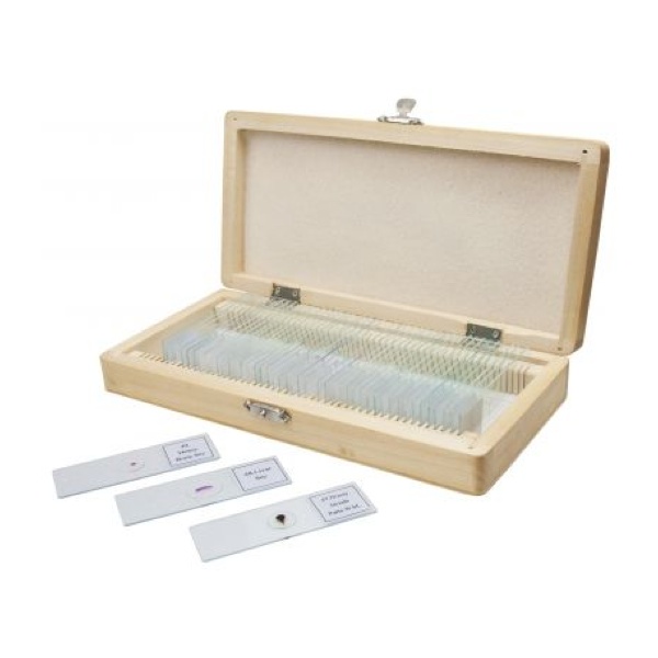 Celestron PrepaRed Specimen Slides (50 piece Set) - Widescreen Centre