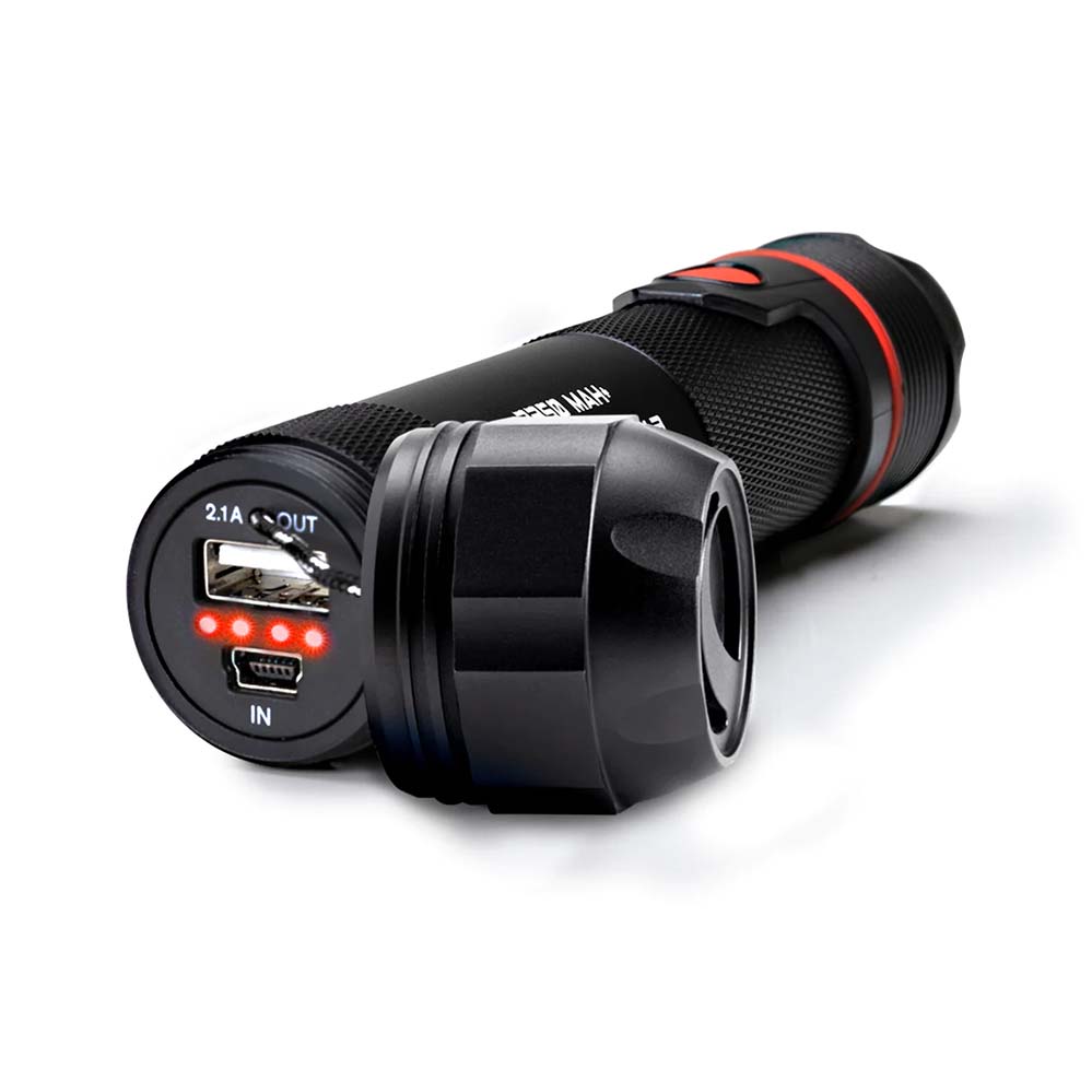 Red Torches - Widescreen Centre